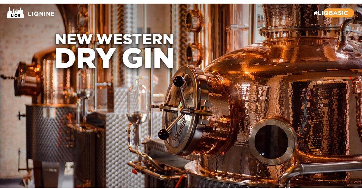 Blog - ทำความรู้จักกับ New Western Dry Gin | LIQ9